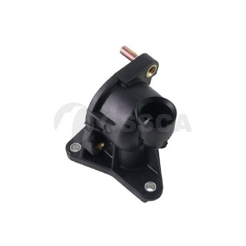 CORP TERMOSTAT RIO 2012